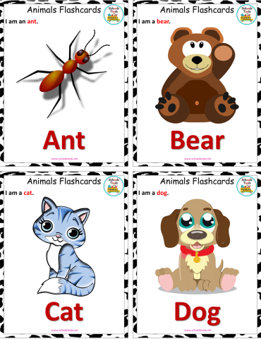 Animals Flashcards 4 | Product | Schools Tools
