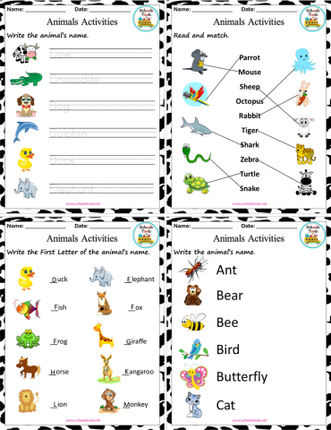Animals Activities 1 | Product | Schools Tools