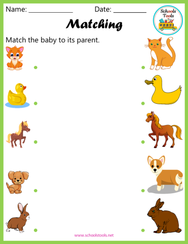 Matching Objects | Product | Schools Tools